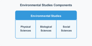 Scope And Importance Of Environmental Studies: Clear Guide