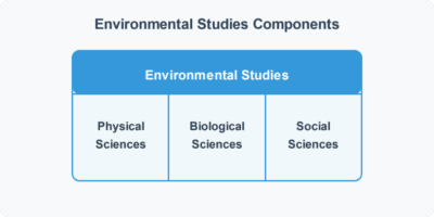 Scope And Importance Of Environmental Studies: Clear Guide